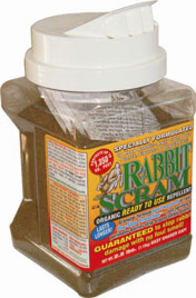 EPIC Rabbit Scram | EPIC