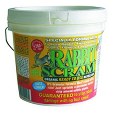 EPIC Rabbit Scram | EPIC