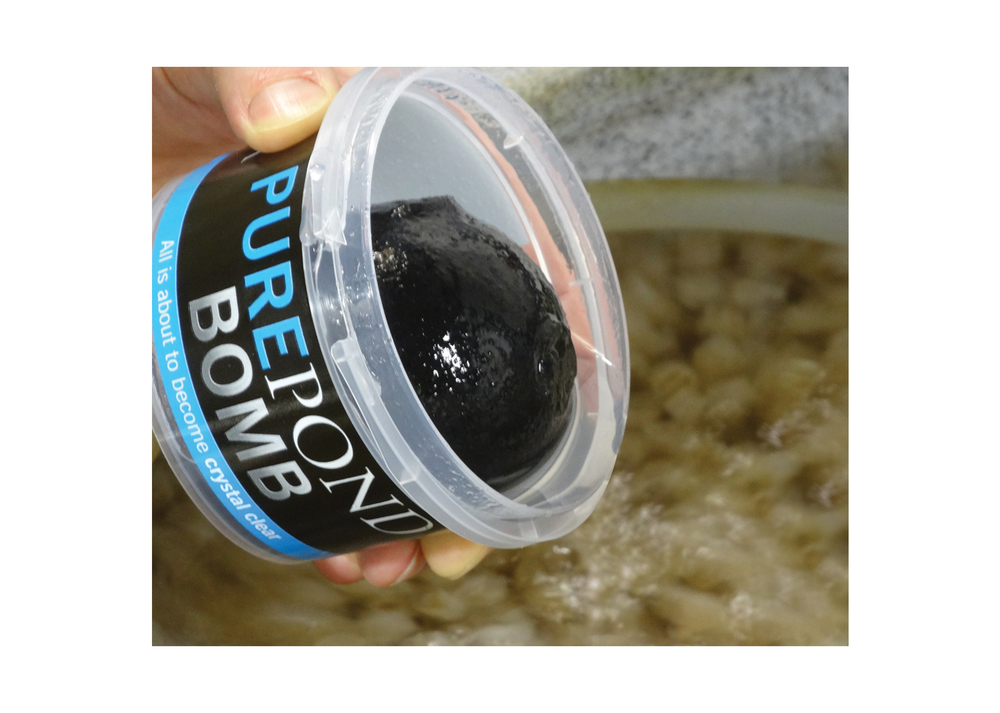 Evolution Aqua Pond Bomb | Evolution Aqua